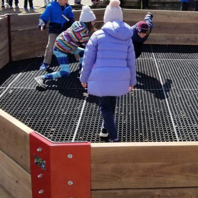 How to Play GaGa Ball: A Beginner’s Guide | CCGBP